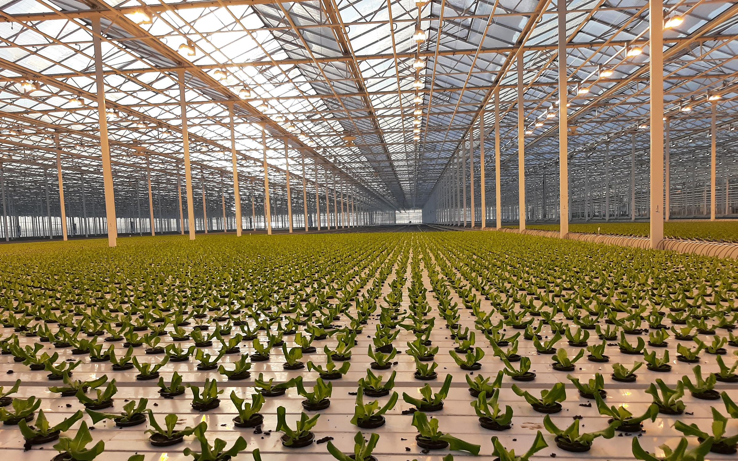 Производственная компания ПКФ Тепличные технологии - отзывы, фото, цены ...