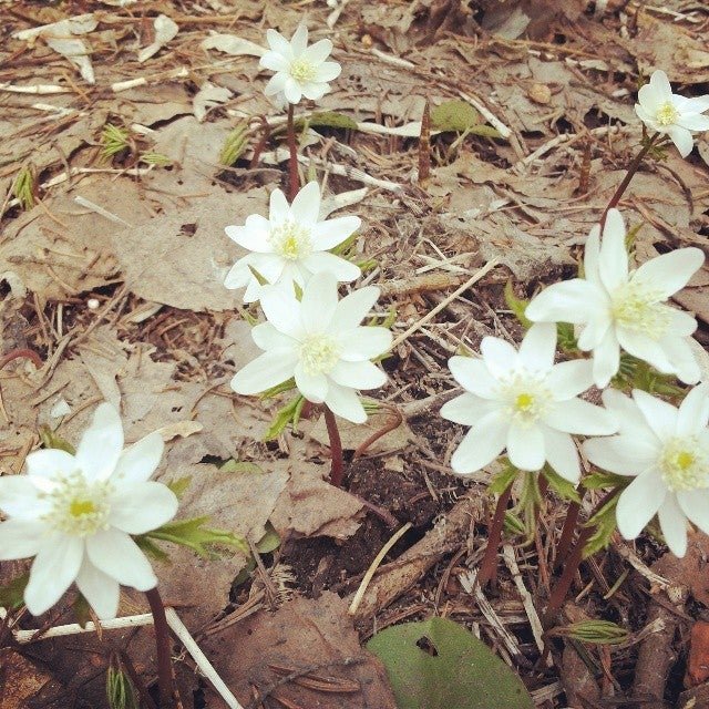 Союз инженеров и изыскателей - отзывы, фото, цены, телефон и адрес ...